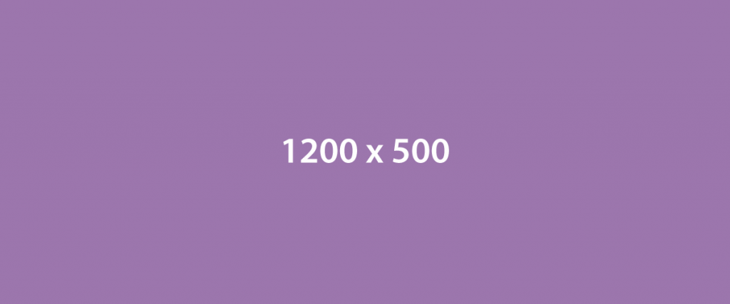 1200x500-purple-light - Transbelt